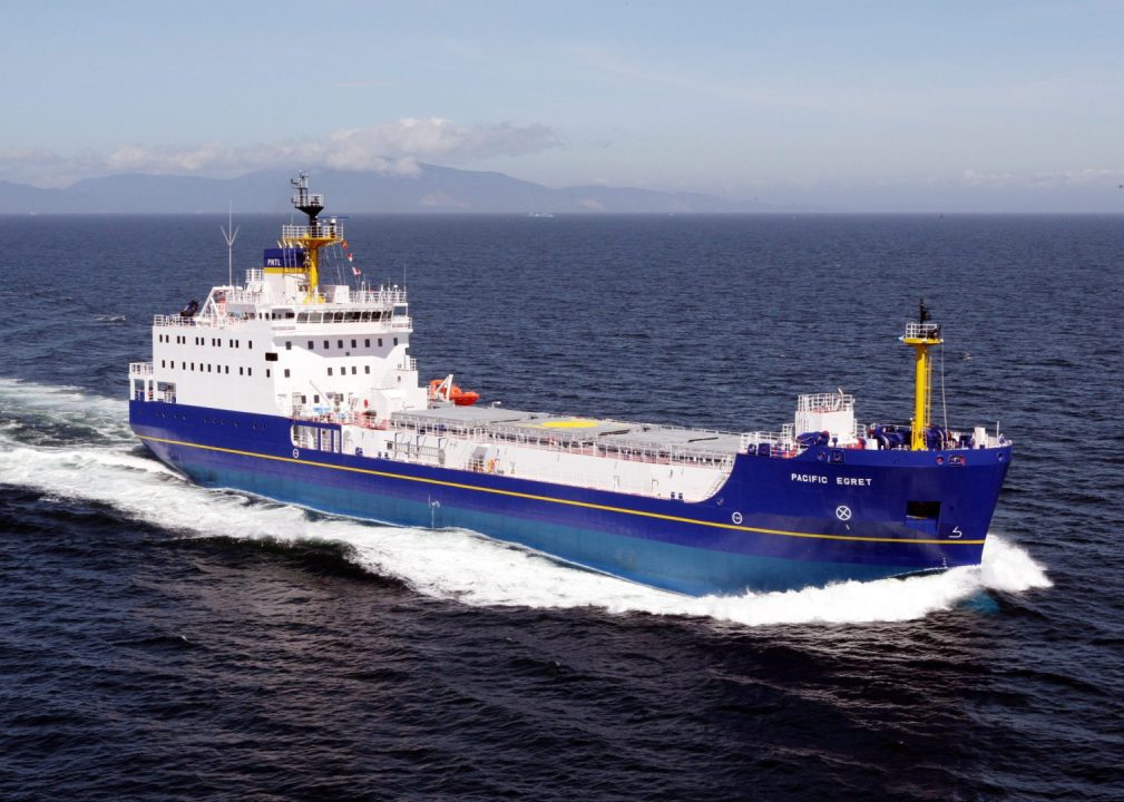 📦 Shipper : Clé du Transport et du Déménagement 🚚